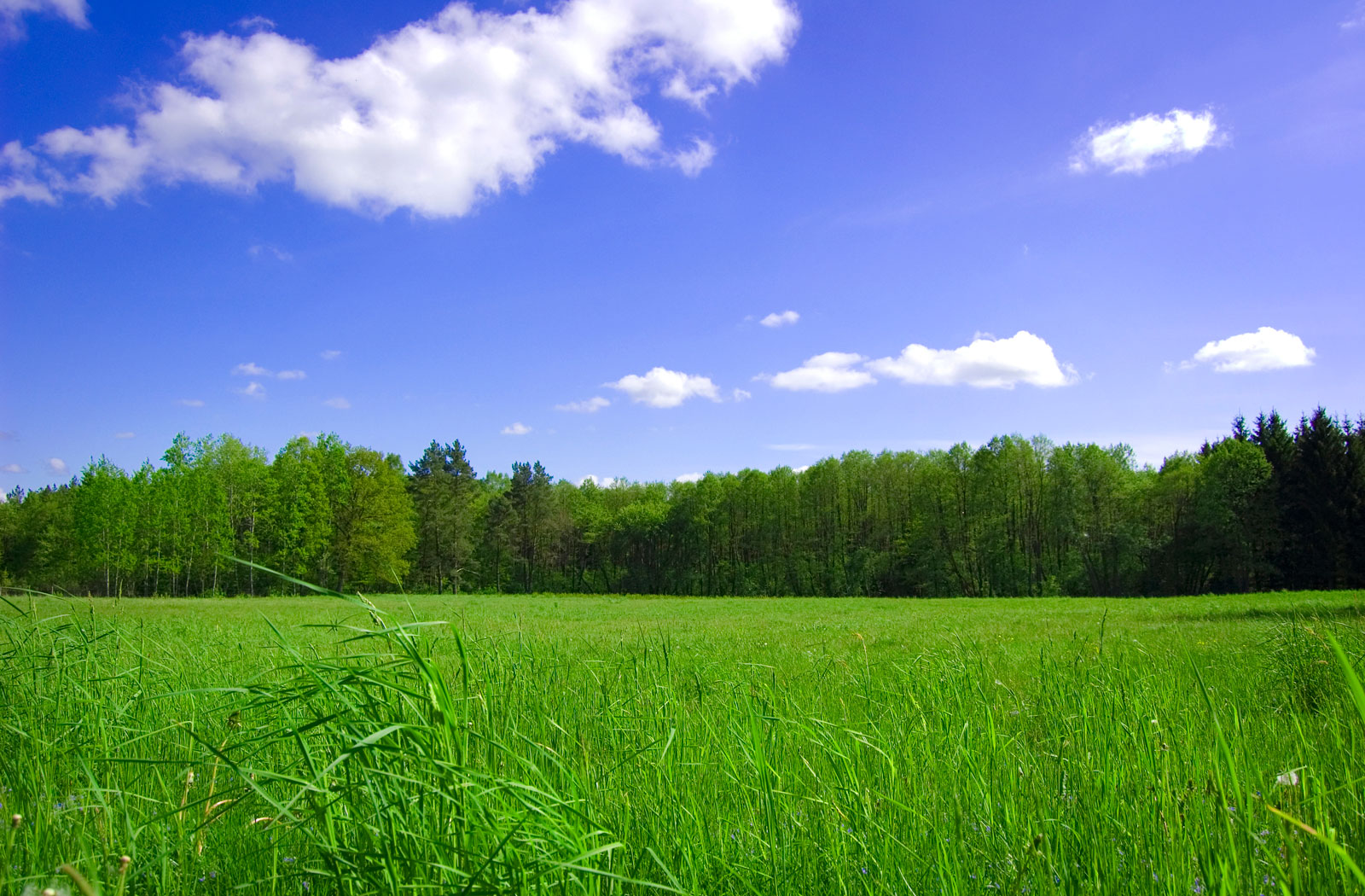 5 Examples Of Stormwater Best Management Practices Bmps Trimedia
